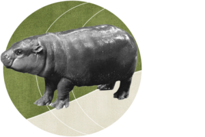 Moodeng AI Challenge – Animal-Human-AI Interaction Design Competition ...
